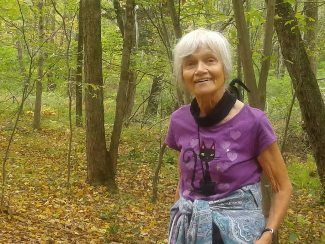 The Life of Jane Lamplighter aka Janey Warner Brown–A Celebration ...